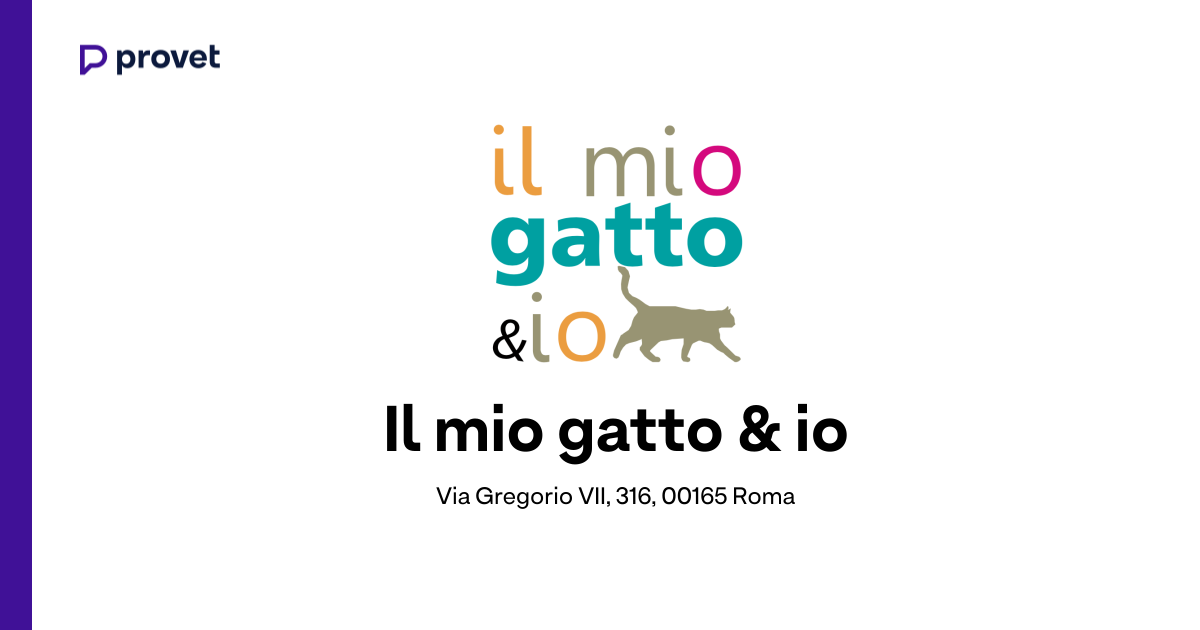 Prenota un appuntamento dal veterinario | Il mio gatto & io, Roma ...