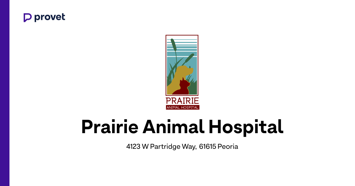 Book a Vet Appointment | Prairie Animal Hospital, Peoria | Provet.com