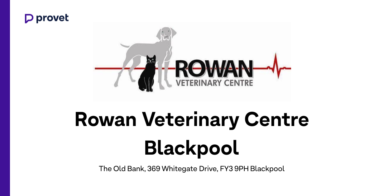 Book a Vet Appointment | Rowan Veterinary Centre Blackpool, Blackpool ...